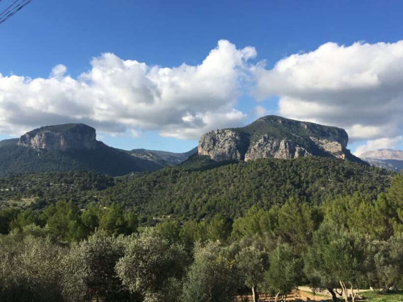 Mallorca: Full-Day Winery Small Group Tour - The Sum Up