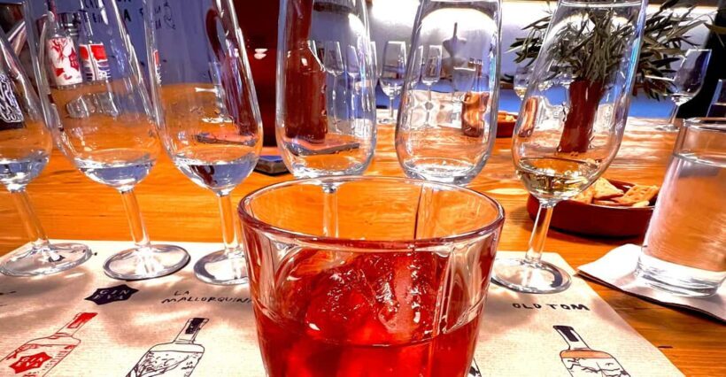 Mallorca Gin Tasting - What’s Included and What’s Not