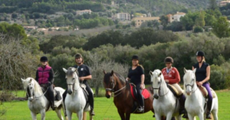 Mallorca: Guided Horseriding Tour of Randa Valley - Key Points