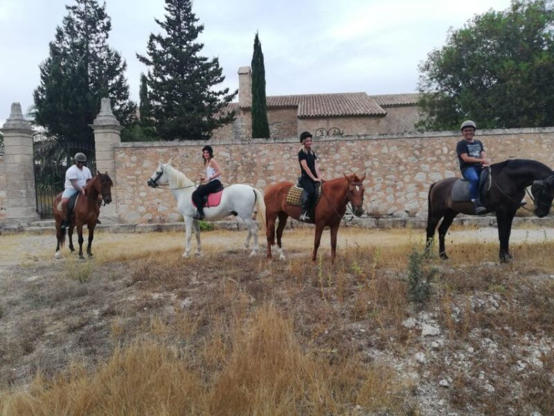 Mallorca: Guided Horseriding Tour of Randa Valley - The Value of the Experience