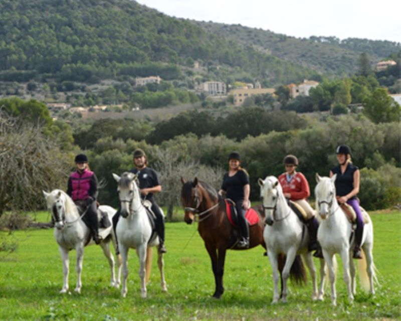 Mallorca: Guided Horseriding Tour of Randa Valley - Who Should Consider This Tour?