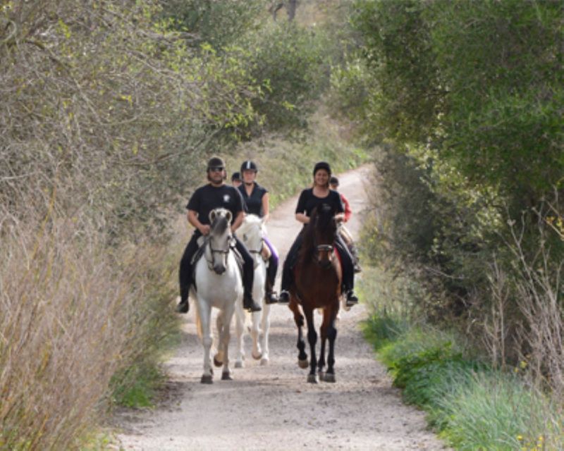 Mallorca: Guided Horseriding Tour of Randa Valley - Final Thoughts