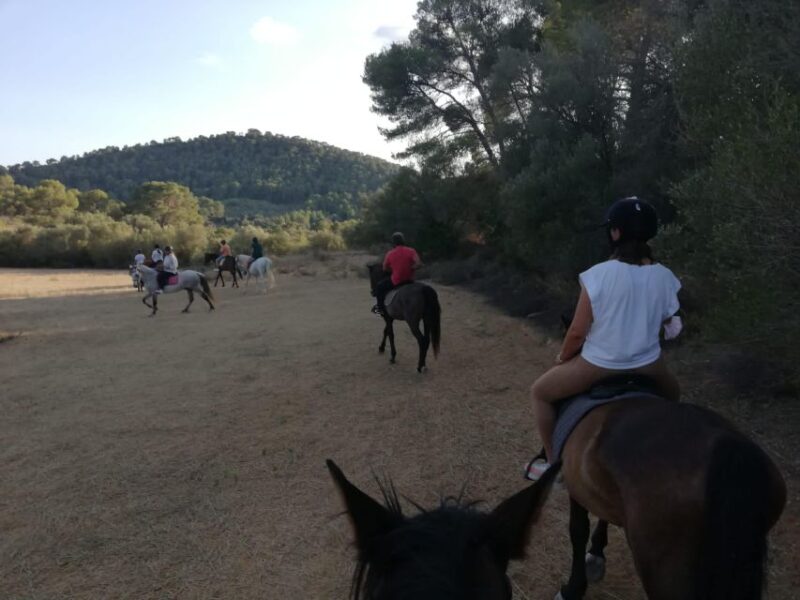 Mallorca: Guided Horseriding Tour of Randa Valley - Frequently Asked Questions