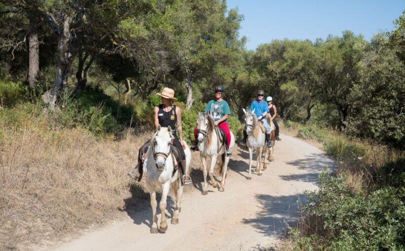 Mallorca: Horseback Riding Excursion and Wine Tasting - Logistics and Practicalities