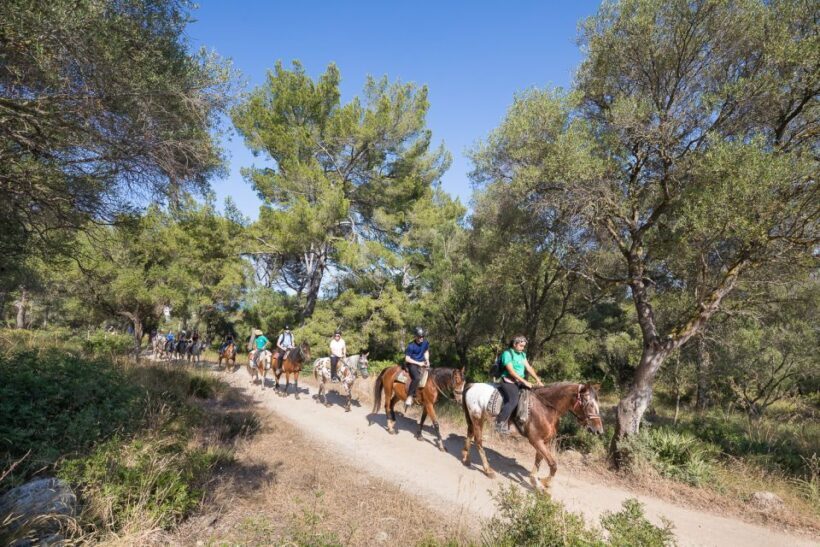 Mallorca: Horseback Riding Excursion and Wine Tasting - Authenticity and Quality: What Visitors Say