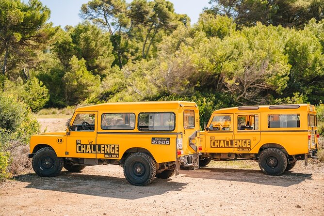 Mallorca: Kayaking, Sea Cave, Cliff Jumping & Snorkel Tour - Authentic Experiences from Travelers