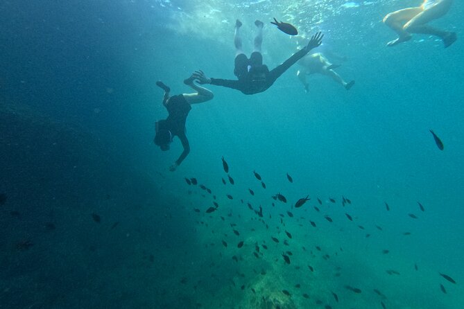 Mallorca: Kayaking, Sea Cave, Cliff Jumping & Snorkel Tour - Why This Tour Is Worth Considering