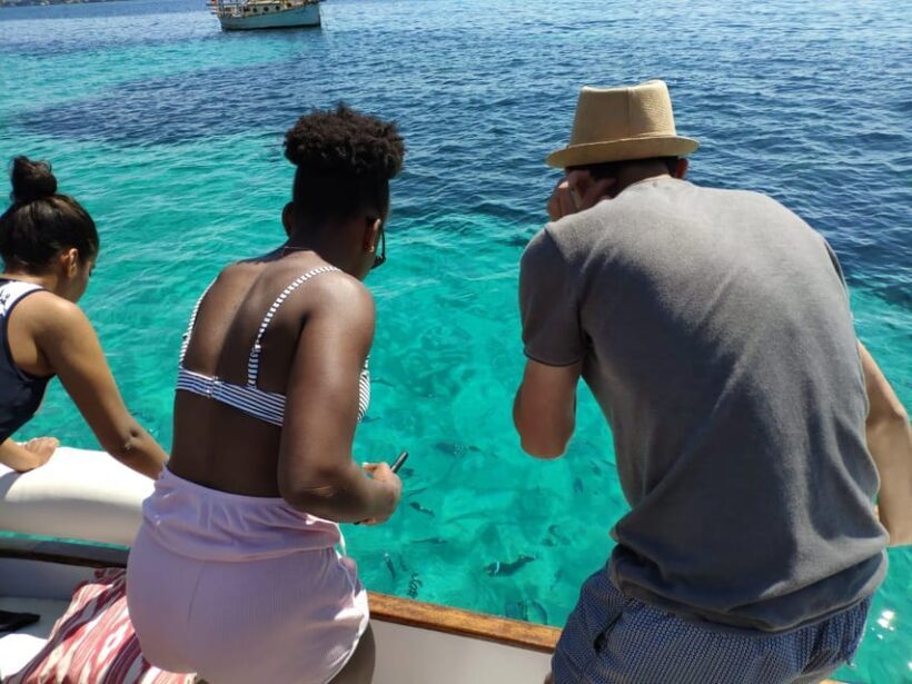 Mallorca: Llaüt Excursion around Palma with food and drinks - Who Will Love This Tour?