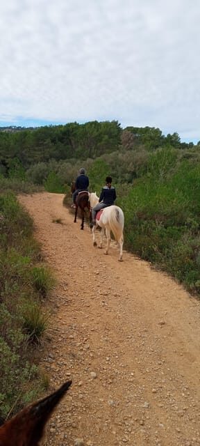 Mallorca: , Mallorcan sunset, horseback riding, with drinks - FAQs