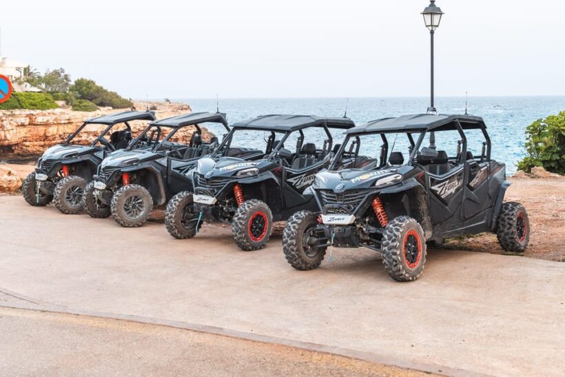 Mallorca: Mountain Buggy Adventure with Secret Coves Tour - Why This Buggy Tour Stands Out