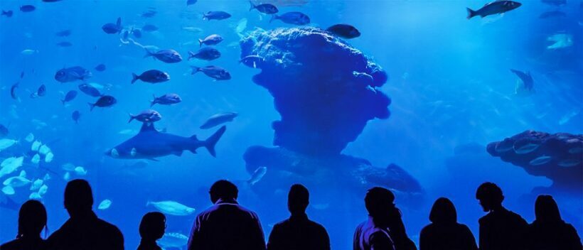 Mallorca: Palma Aquarium Entry Ticket w/ Optional 3D Cinema - Is Palma Aquarium Worth It?