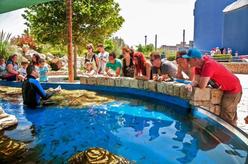 Mallorca: Palma Aquarium Entry Ticket w/ Optional 3D Cinema - Final Thoughts