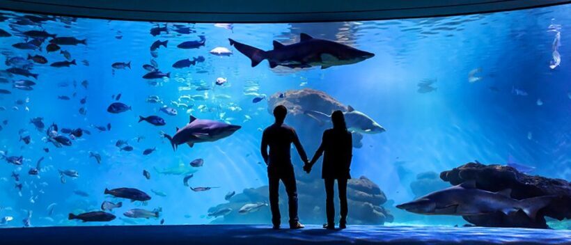 Mallorca: Palma Aquarium Entry Ticket w/ Optional 3D Cinema - FAQ