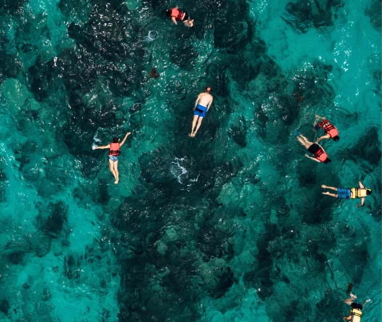 Mallorca: Palma Boat Tour & Snorkeling with Drink Included - Frequently Asked Questions