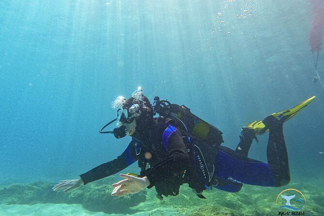 Mallorca PRIVATE Reservation*Scuba Dive + Photo/Video - Meet Your Instructor