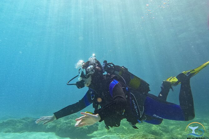 Mallorca PRIVATE Reservation*Scuba Dive + Photo/Video - What to Expect Underwater