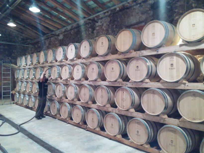 Mallorca: Private Wine Tour with Tasting and Picnic - FAQ