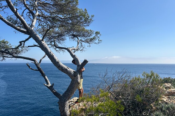 Mallorca Secret Coves Land Rover Private Tour - The Sum Up