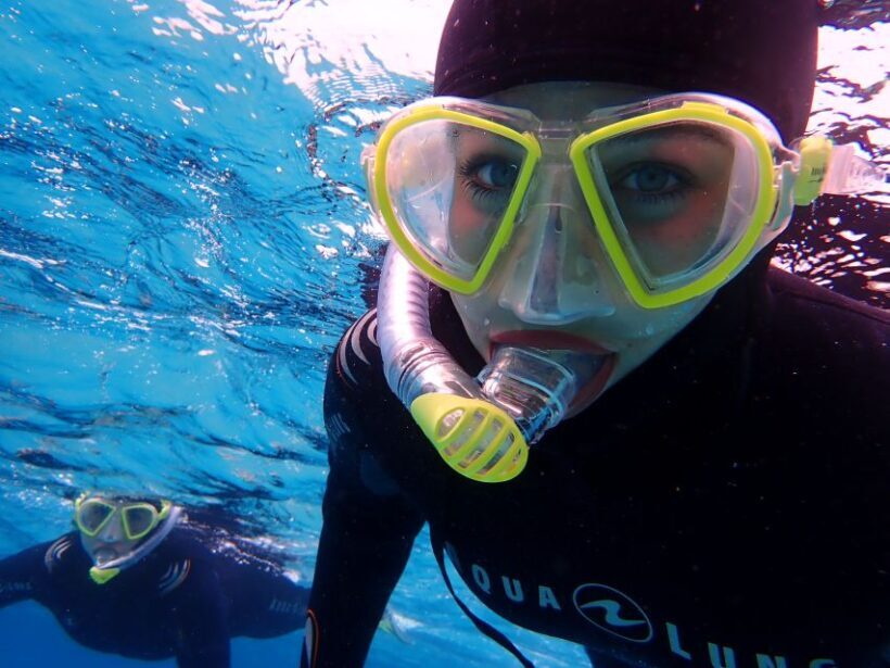 Mallorca: Snorkeling in a Beautiful Nature Reserve - The Underwater Experience and Marine Life