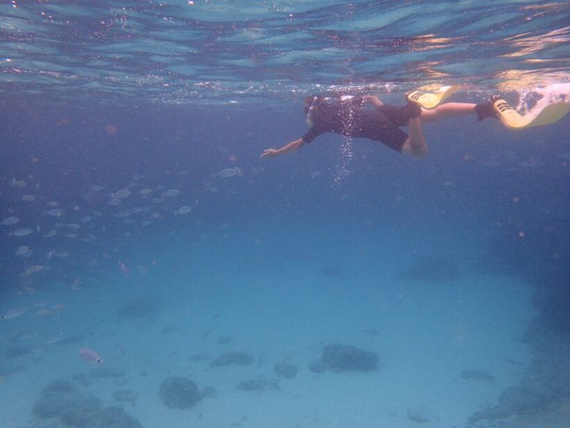 Mallorca: Snorkeling in a Beautiful Nature Reserve - What Makes This Tour a Great Value?