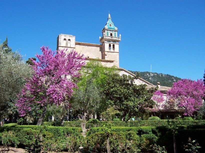 Mallorca: Soller Port and Valldemossa - What to Expect on the Tour
