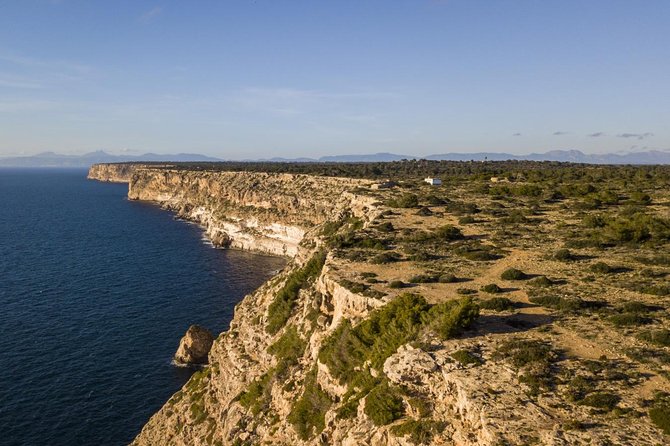 Mallorca Southern cliffs and the Salt Marshes guided Tour - Key Points