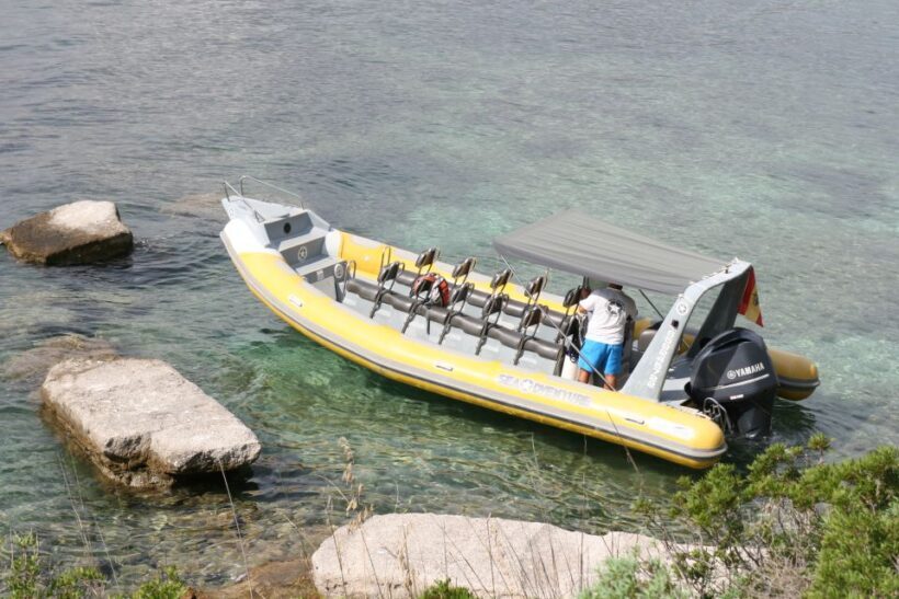 Mallorca : Speedboat, Snorkelling and Swimming Adventure - Key Points