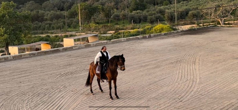 Mallorca: Sunset & Spanish Riding School Show - Key Points