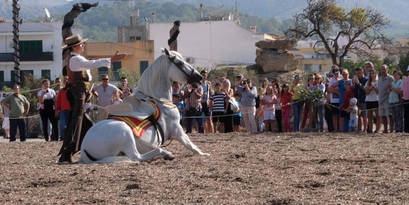 Mallorca: Sunset & Spanish Riding School Show - Final Thoughts