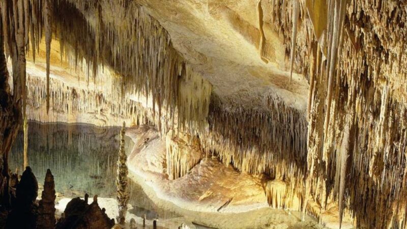 Mallorca: Ticket for Caves of Drach with Pickup Service - Free Time in Porto Cristo
