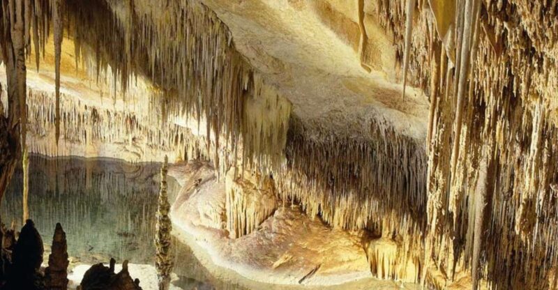 Mallorca: Ticket for Caves of Drach with Pickup Service - Transportation and Flexibility
