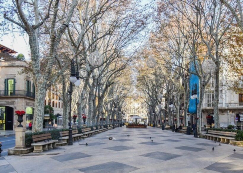 Mallorca: Transfer to Palma self-guided Tour - An In-Depth Look at the Experience