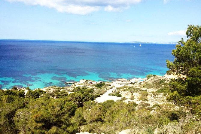 Mallorca: Try Scuba Diving in a Beautiful Nature Reserve - Beginner Scuba Diving Experience