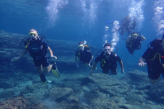 Mallorca: Try Scuba Diving in a Beautiful Nature Reserve - Planning Future Diving Adventures