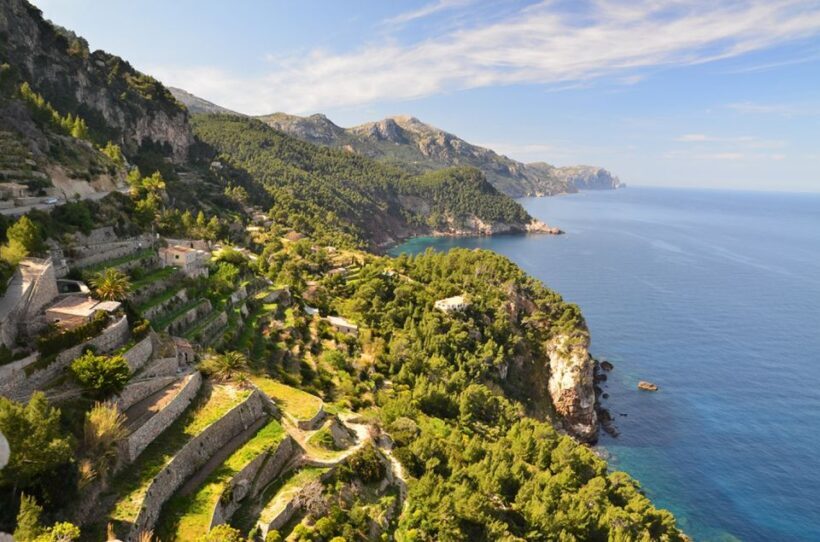 Mallorca: Valldemossa & Soller Tour - The Itinerary in Detail: What You Can Expect