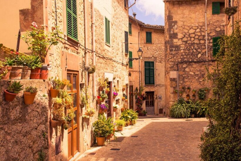 Mallorca: Valldemossa & Soller Tour - Who Will Love This Tour?