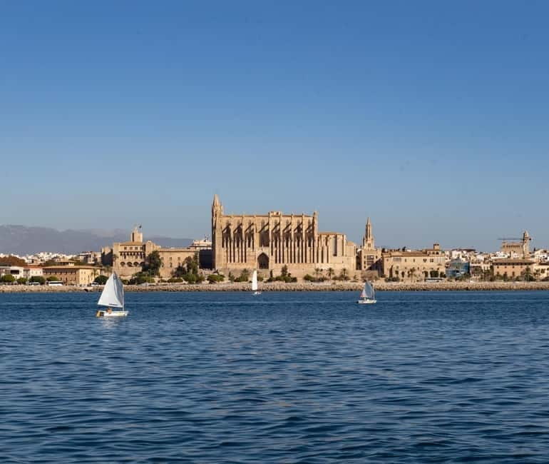 Mallorca: Visit Palma Speedboat adrenaline & snorkelling - The Experience From Real Travelers