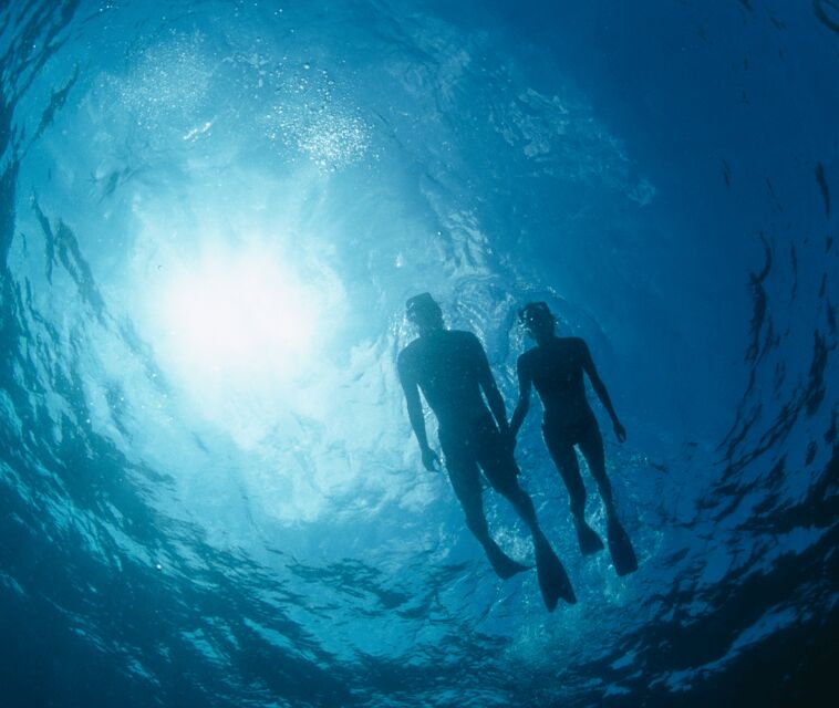 Mallorca: Visit Palma Speedboat adrenaline & snorkelling - Who Should Consider This Tour?