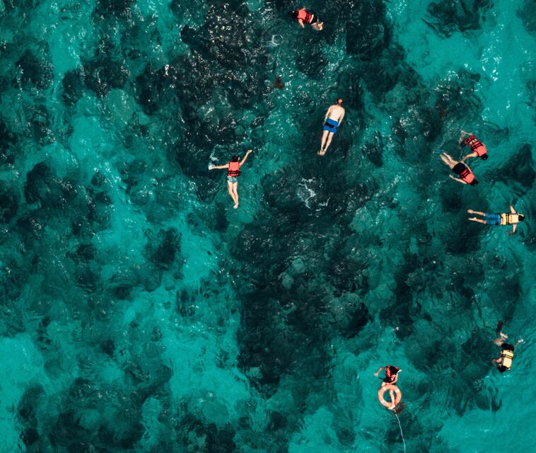 Mallorca: Visit Palma Speedboat adrenaline & snorkelling - Frequently Asked Questions