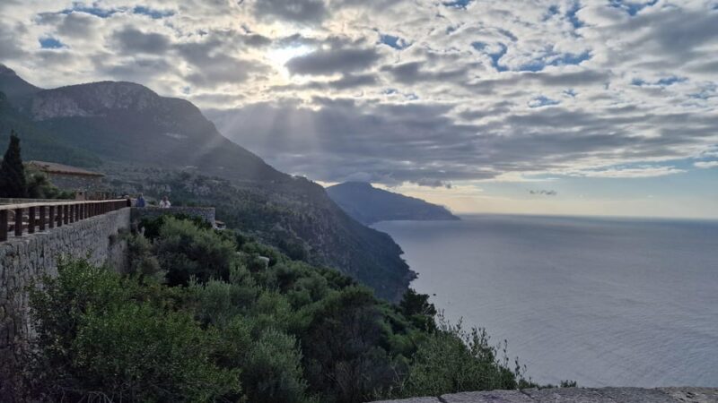 Mallorca: West Coast & Orange Valley Minbustour GERMAN GUIDE - Key Points