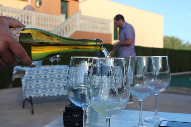 Mallorca Wine and Cheese Tasting - Accessibility and Inclusivity