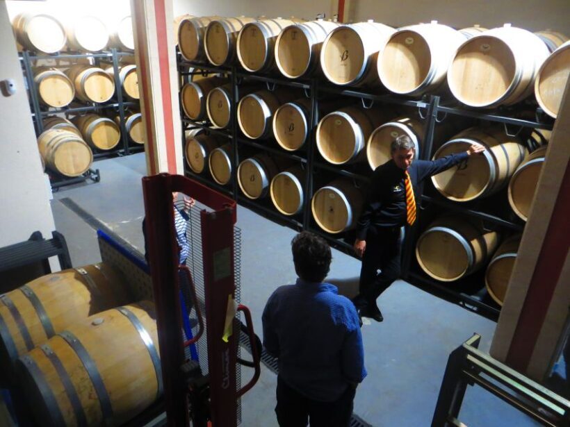 Mallorca: Wine Cellar Tour XL - 3 Wine Tastings incl. GERMAN - Key Points