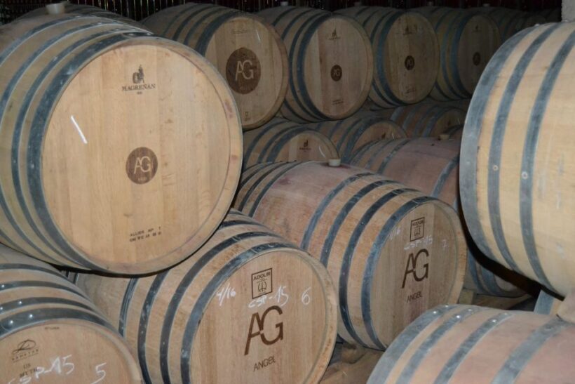 Mallorca: Wine Cellar Tour XL - 3 Wine Tastings incl. GERMAN - FAQ