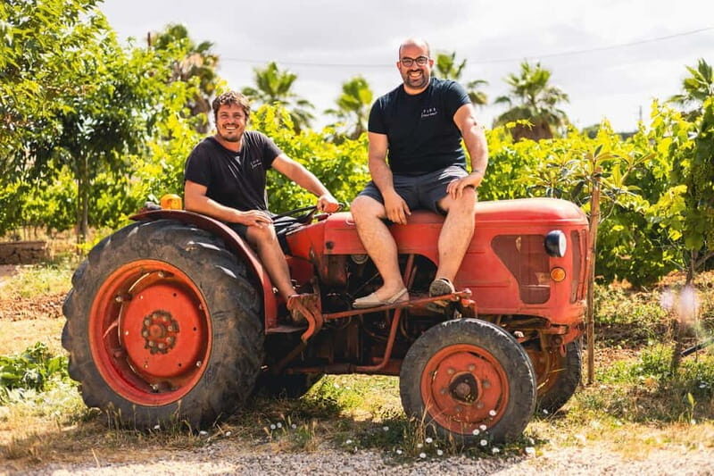 Mallorca: Winery visit and wine tasting, with Mallorcan products - The Experience and Its Value