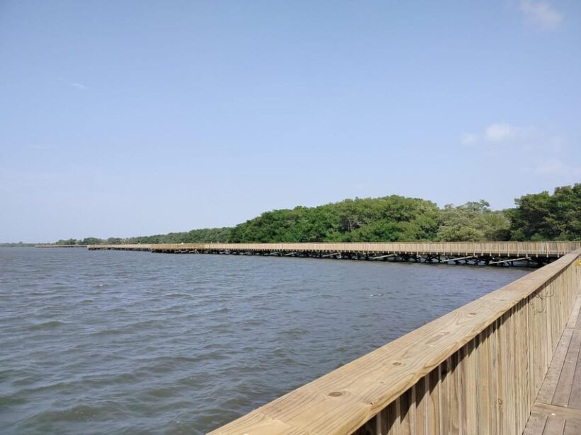 Mallorquin Eco-Park Walking Tour - Key Points