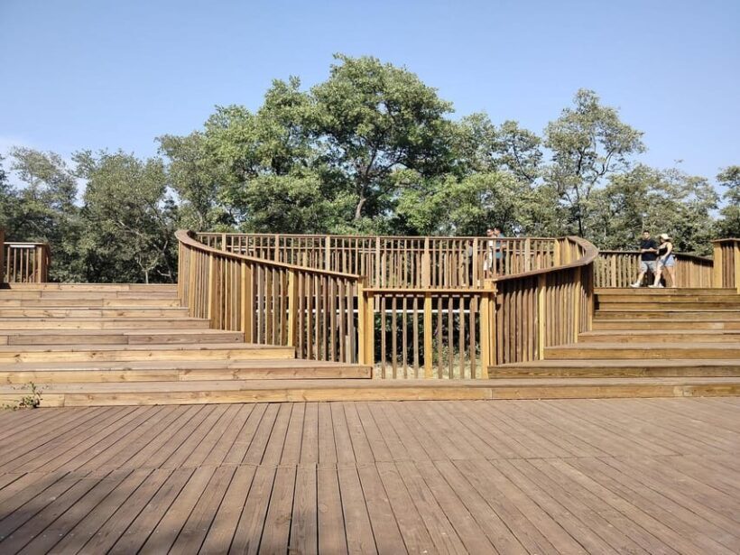 Mallorquin Eco-Park Walking Tour - Exploring Barranquilla’s Natural Side