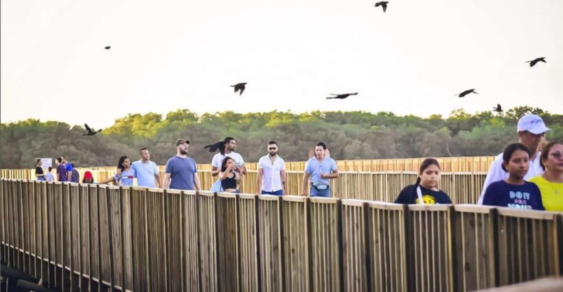 Mallorquin Eco-Park Walking Tour - Why This Tour Offers Great Value