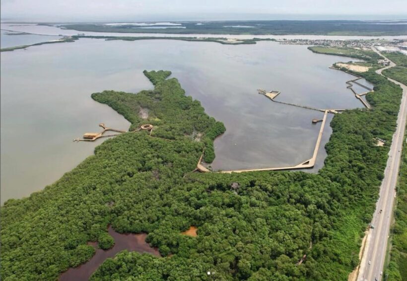 Mallorquin Eco-Park Walking Tour - The Experience from Reviews