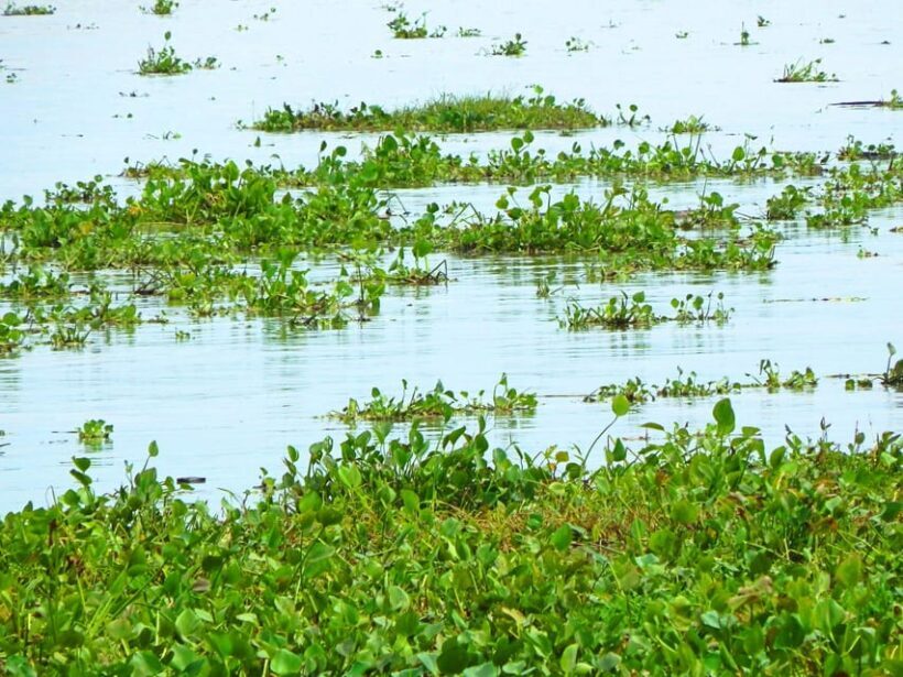 Mallorquin Eco-Park Walking Tour - The Sum Up: Why Choose the Mallorquin Eco-Park Walking Tour?