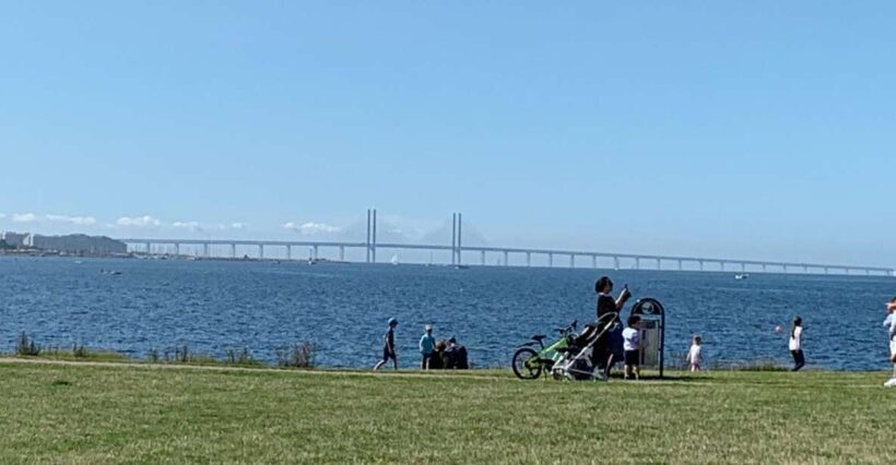 Malmö: 3-Hour Guided Walking Tour - A Closer Look at the Tour Experience